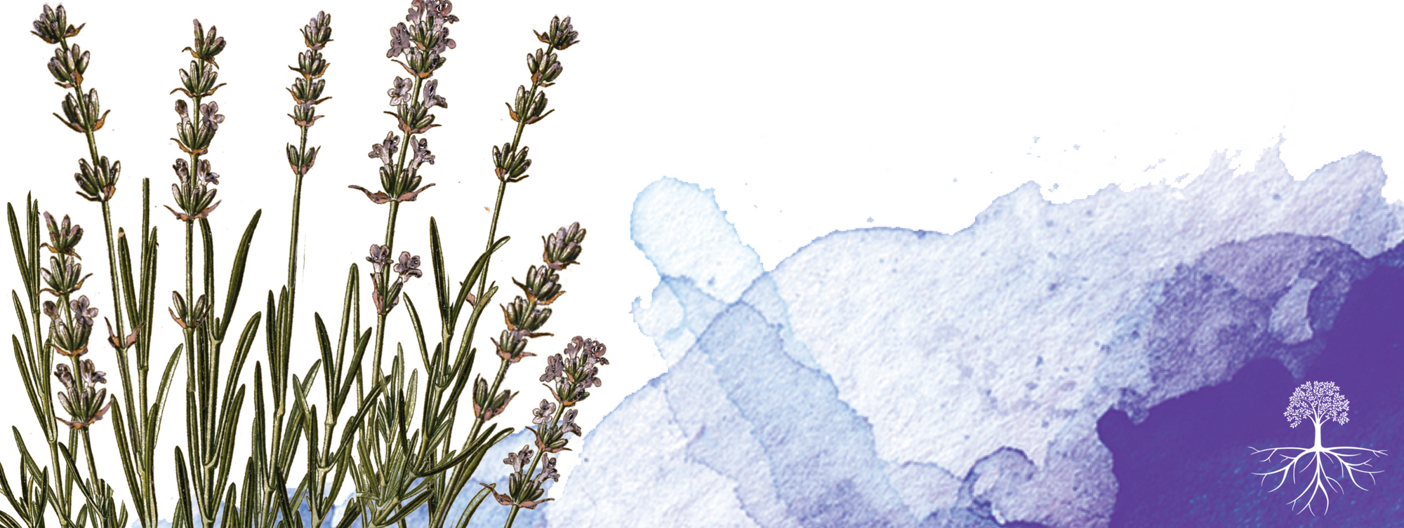 Working Together - Sacred Roots Healing